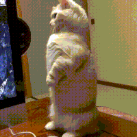 Telekinesis GIFs - Get the best gif on GIFER