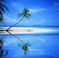 Strands GIFs - Get the best gif on GIFER