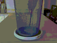 Bin GIFs - Get the best gif on GIFER