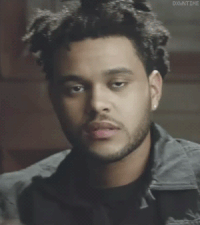 Calculus GIFs - Get the best gif on GIFER