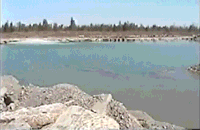 Rock afire explosion GIFs - Obtenez le meilleur gif sur GIFER