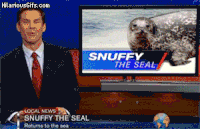 Snuffy GIFs - Get the best gif on GIFER