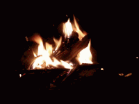 S3 GIFs - Get the best gif on GIFER