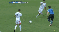 Tackle GIFs - Get the best gif on GIFER
