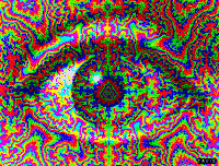 Dmt GIFs - Get the best gif on GIFER