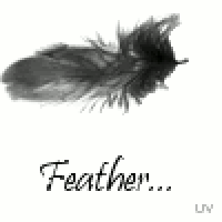 Feder GIFs - Get the best gif on GIFER