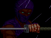 Ninjas GIFs - Get the best gif on GIFER