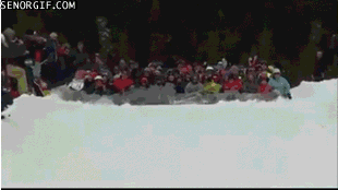 Huge group sled GIFs - Get the best gif on GIFER
