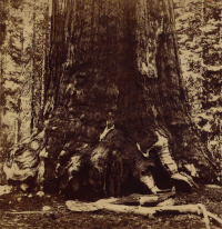 Mansion GIFs - Get the best gif on GIFER