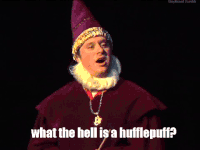 Absurd GIFs - Get the best gif on GIFER