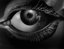 Spellbound GIFs - Get the best gif on GIFER