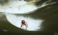 Surfing GIFs - Get the best gif on GIFER