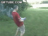 Alerta GIFs - Get the best gif on GIFER