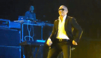 Pitbull GIFs - Get the best gif on GIFER