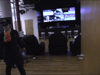 Bigcats GIFs - Get the best gif on GIFER