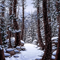 Snowfall GIFs - Get the best gif on GIFER