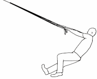 Pulling GIFs - Get the best gif on GIFER