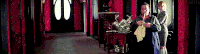 Suspiria GIFs - Get the best gif on GIFER