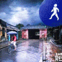 Collages GIFs - Get the best gif on GIFER