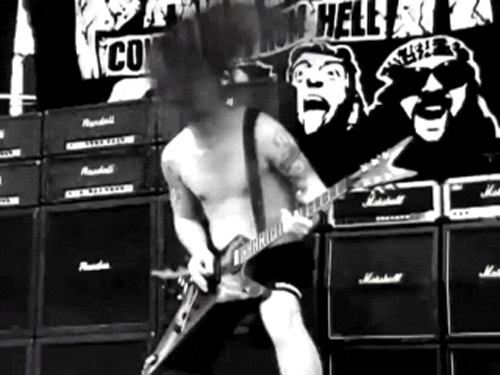 Pantera GIFs - Get the best gif on GIFER