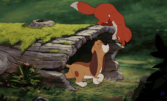 Fox studios GIF - Conseguir el mejor gif en GIFER
