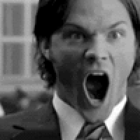 Ahhhh GIFs - Get the best gif on GIFER