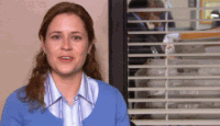 Pam GIFs - Get the best gif on GIFER