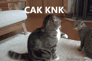 Ler GIF - Conseguir o melhor gif em GIFER