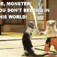 Macro GIFs - Get the best gif on GIFER