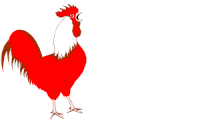 Rooster GIFs - Get the best gif on GIFER