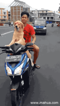 Scooter GIFs - Get the best gif on GIFER
