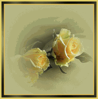 Yellow roses GIFs - Get the best gif on GIFER