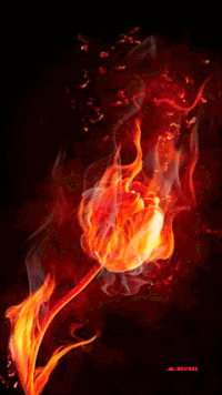 Deposition GIFs - Get the best gif on GIFER