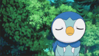 Piplup GIFs - Get the best gif on GIFER