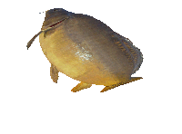 Unscrew GIFs - Get the best gif on GIFER