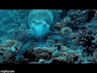 Prey GIFs - Get the best gif on GIFER