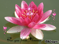 Lily GIFs - Get the best gif on GIFER