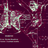 Databending GIFs - Get the best gif on GIFER