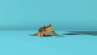 Toad GIFs - Get the best gif on GIFER
