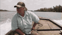 Swamp GIFs - Get the best gif on GIFER