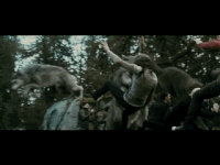 Packs GIFs - Get the best gif on GIFER