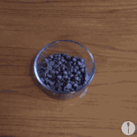 Buckeyes GIFs - Get the best gif on GIFER