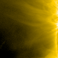 Yellow GIFs - Get the best gif on GIFER