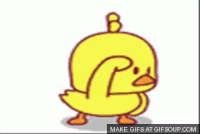Anyone GIFs - Get the best gif on GIFER