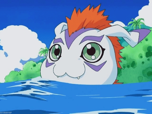 Gomamon GIFs - Get the best gif on GIFER
