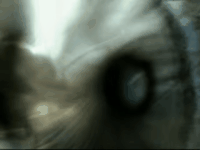 Mites GIFs - Get the best gif on GIFER