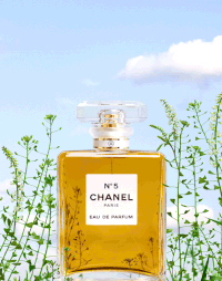 Chanel GIFs - Get the best gif on GIFER