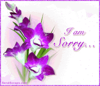 Sorry GIFs - Get the best gif on GIFER
