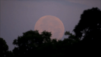 Solstice GIFs - Get the best gif on GIFER