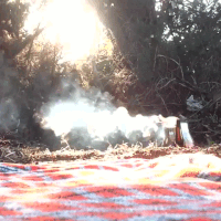 Morocco GIFs - Get the best gif on GIFER